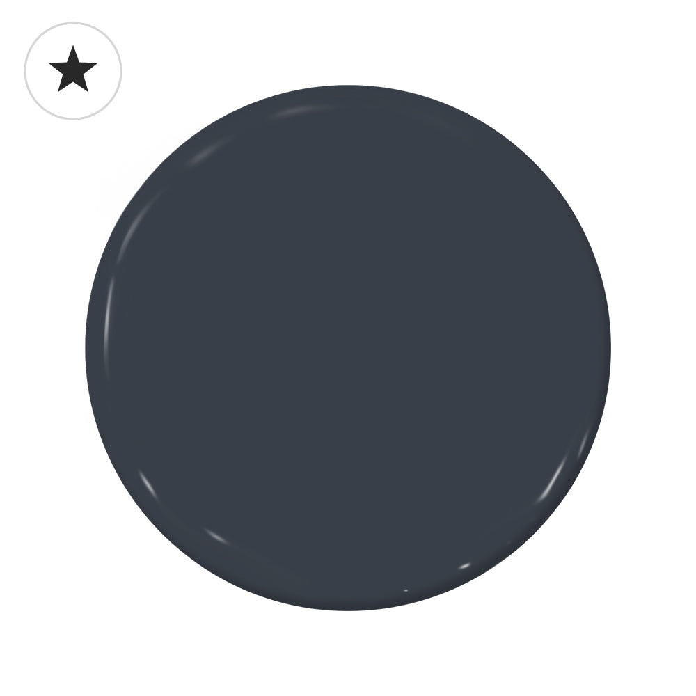 Brigand (C2-757) | C2 Paint | Bergsma's Paint – Bergsma's Paint & Decor